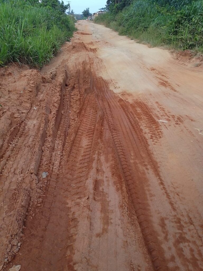 Ahafo Region: Forest Ano To Kasapin Residents Appeal To Government Over ...